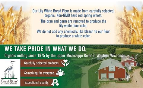 Great River Organic Milling Lily White Bread Flour 25 Lb All Purpose