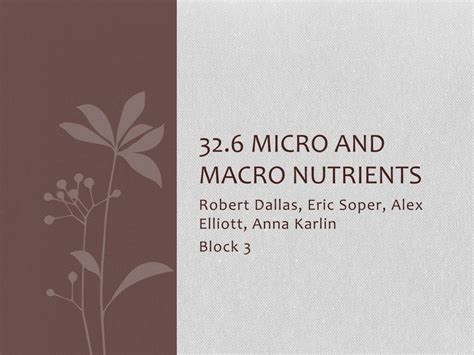 Ppt 32 6 Micro And Macro Nutrients Powerpoint Presentation Free
