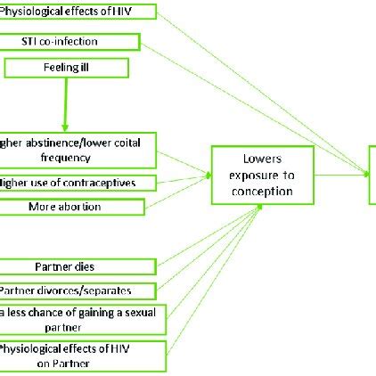 Conceptual Framework For Possible Pathways Explaining Lower Fertility Download Scientific