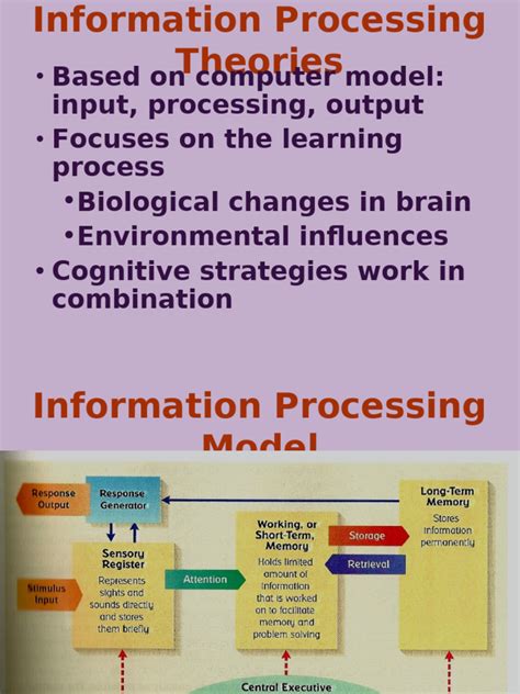 Information Processing Theory Pdf