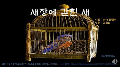90 명시 낭송 새장에 갇힌 새안젤루 시인이 좋아하는 시 Youtube