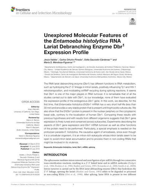 Pdf Unexplored Molecular Features Of The Entamoeba Histolytica Rna