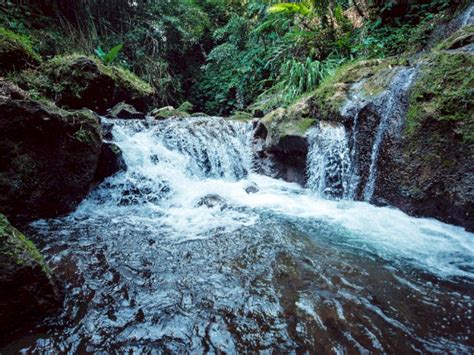 Berita Terkait Dengan Mitos Lulun Samak Indozoneid