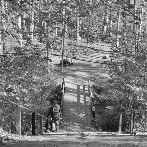 Trevor Lawrence Stats NFL Career Season And Playoff Statistics