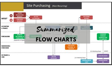 Draw Professional Summarized Or Detailed Process Maps Or Flow Charts By Loiseymsngcy Fiverr