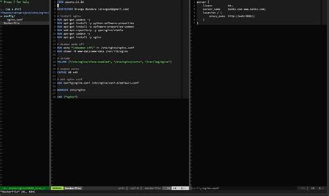 Nginx как обратный прокси на Docker By Igor Olemskoi Southbridge