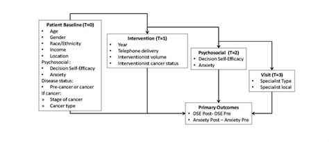 Predictor Variables For Decision Self Efficacy Dse And Anxiety