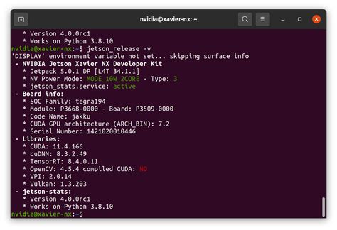 Corrupted Lavapipe On Ubuntu On Jetson Nano Issue Rbonghi Jetson Stats Github