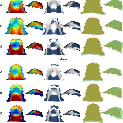colour coded maps left and shell distance significance maps right