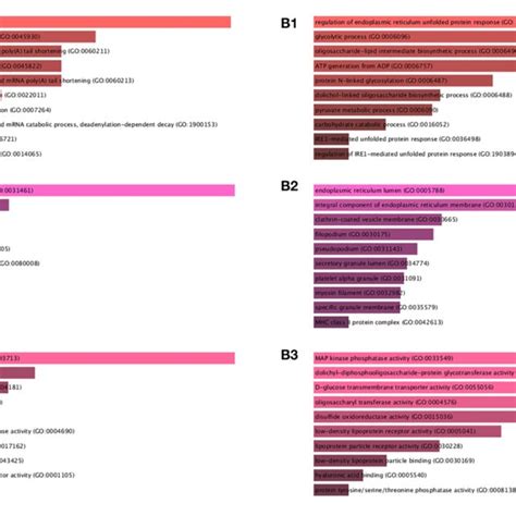 Go Functional Annotation For The Significant Degs A1 The Top 10