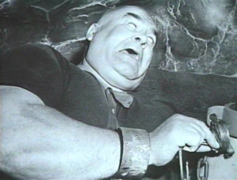 Flying Saucers Over Hollywood The Plan 9 Companion 1992