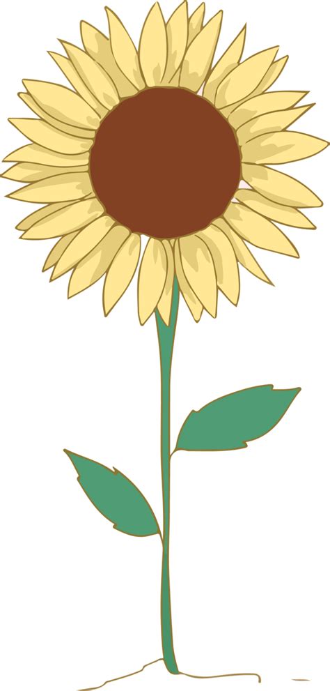 ทานตะวัน Sun Flower[ภาพวาดมือฟรี] Okusanpix