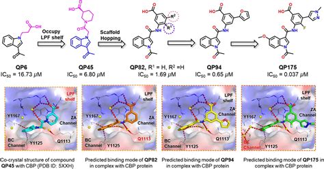 Cbpp300 Bromodomain New Promising Epigenetic Target Visualized