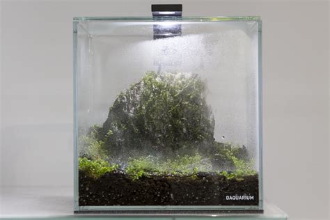 Aqualighter DAQUARIUM 5L | The Planted Tank Forum