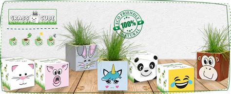 Grass Cube Feel Green We Create Nature