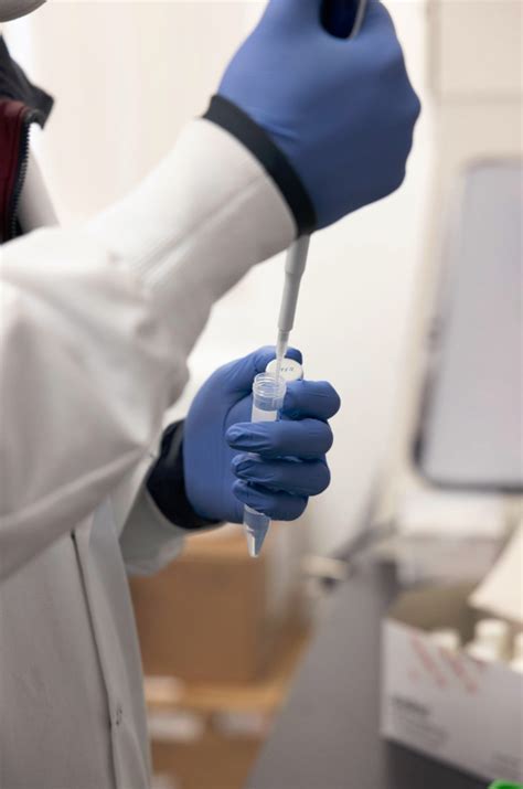 Small Molecule Cmc Primera Analytical Solutions