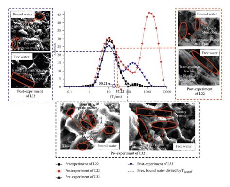 Mesopore Structure Of Bound Water And Free Water In L22 And L32 Rock Download Scientific