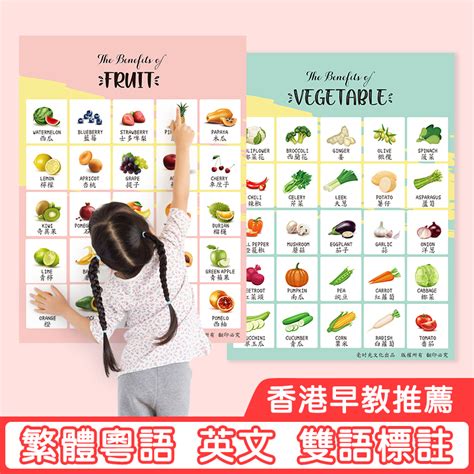 繁体粤语儿童学习挂图数字英语早教幼儿识字宝宝启蒙识图小孩识图虎窝淘