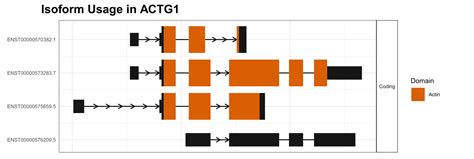 SwitchPlot Figure Details Issue Kvittingseerup IsoformSwitchAnalyzeR GitHub