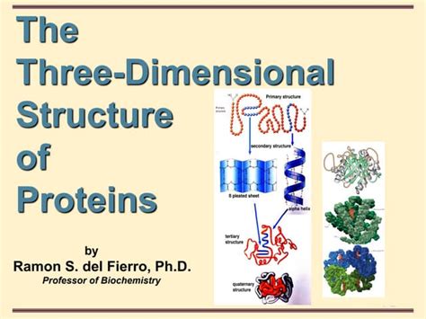 the three dimensional structure of proteins pdf
