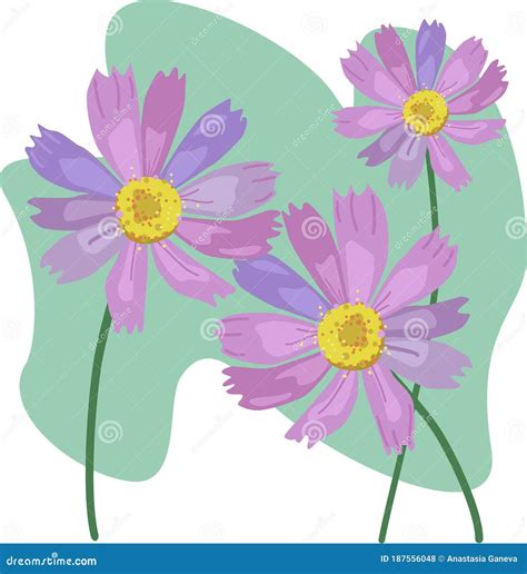 Vector Hand Drawn Pyrethrum Abstract Floral Design Decorative