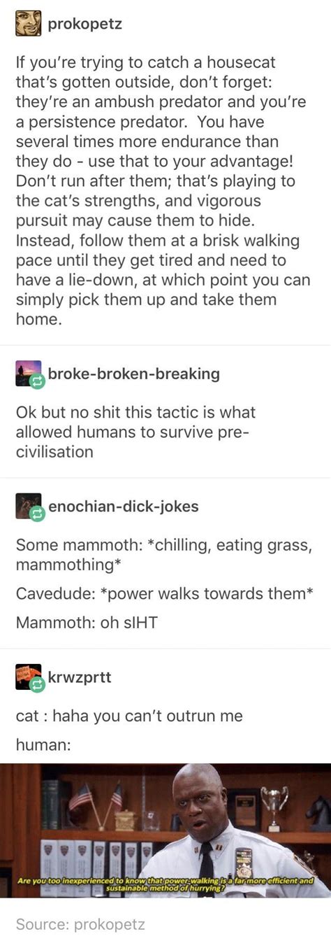 Im Gonna Get Ya Rtumblr