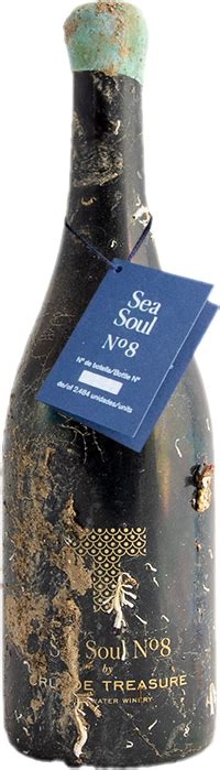 バスク海底熟成ワイン Sea Soul No8 グルナッシュ100％ 赤ワイン スペイン クルーソー・トレジャー Wine Shop