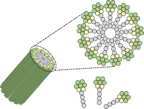 Nanomaterials Engineered To Very Precise Specifications Result In The Download Scientific