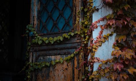 Nemes Ildikó Még élek Felhő Café