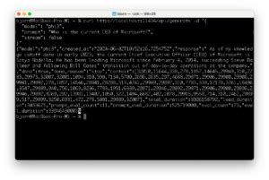 Ollama As A Local Alternative For GitHub Copilot Bjorn Peters