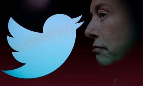 Twitter Amenaza Con Demandar A Meta
