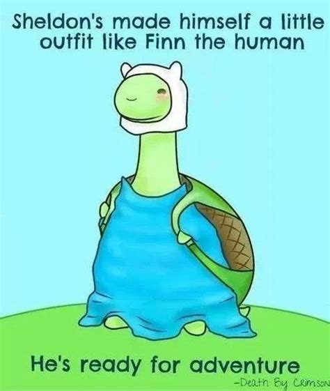 Sheldon The Turtle On Tumblr