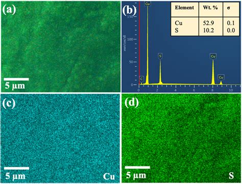 Scanning Electron MicroscopeEDS Mappings Of Obtained Cu1 8S On Cu