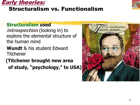 Structural Functionalism Vs Critical Theory Tastecaddy