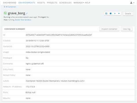 Managing Individual Containers Skytap Help And Documentation