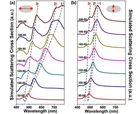 Fdtd Simulations Of The Polarization Dependent Scattering Spectra Of