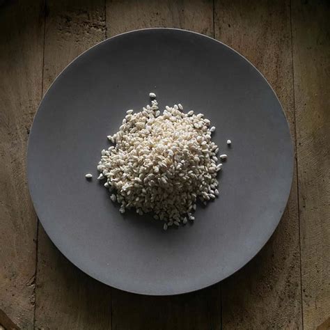 Dried Rice Koji For Miso And Shio Koji 300g Choro Koji Fermentation