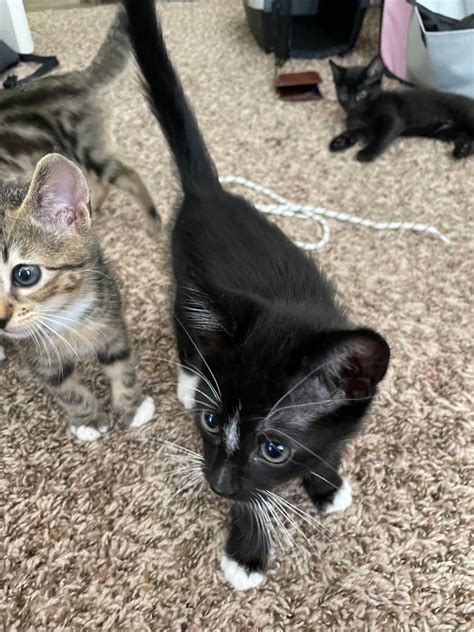 Mcs How Hard Are Cse 548 Advanced Computer Network Security Cse 578 Data Visualization