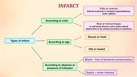 Ischemia And Infarctionpdf