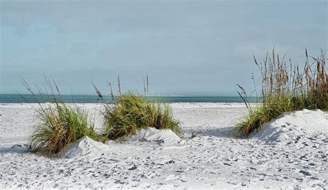 Beach Grass Photograph By Laurie Snow Hein Pixels