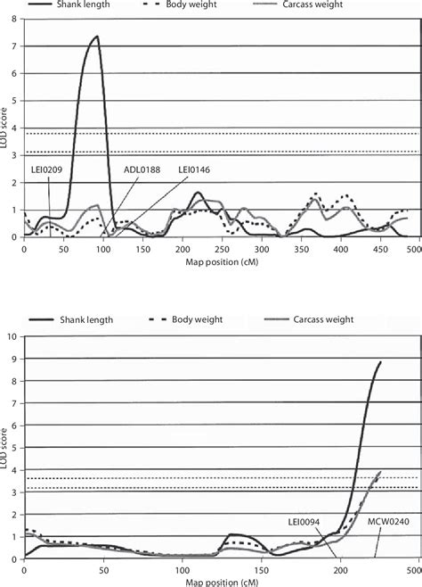 Figure 1 From Identification Of Quantitative Trait Loci Affecting Shank