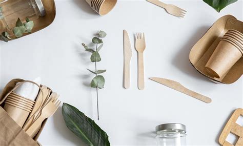 Plásticos biodegradables Alternativa para un futuro sostenible