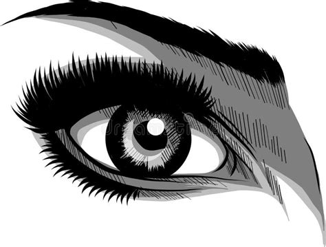 Vector Illustration Beautiful Women Eyes With Make Up Stock Vector