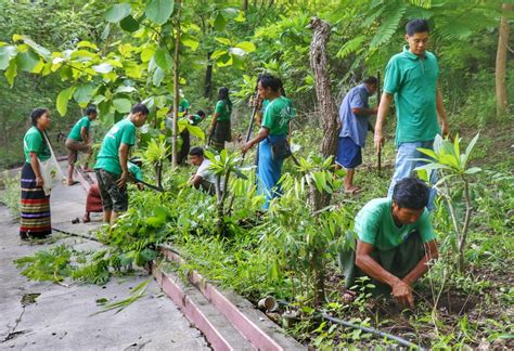 Dvb မိုးရာသီတြင္ မႏၱေလးတိုင္းအတြင္း သစ္ပင္ ၅၀၀၀ ေက်ာ္ စုိက္ပ်ဳိးမည္