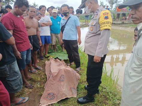 Mayat Tanpa Identitas Mengapung Di Irigasi Bercahaya News