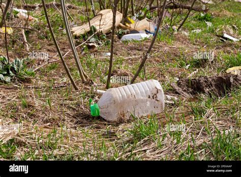 Forêt de printemps rivière flux des déchets Déchets de pneus en