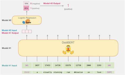 Pytorch Transfer Learning Finetuning Example Image To U