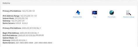 Tutorials Install Custom Operating System Dynu