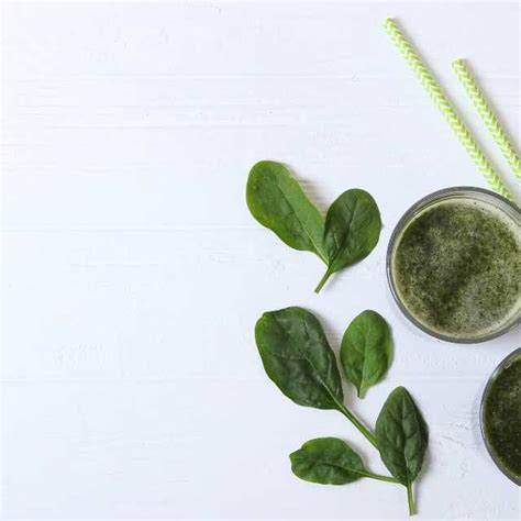 Receitas De Suco Detox Espinafre Para Emagrecer MundoBoaForma