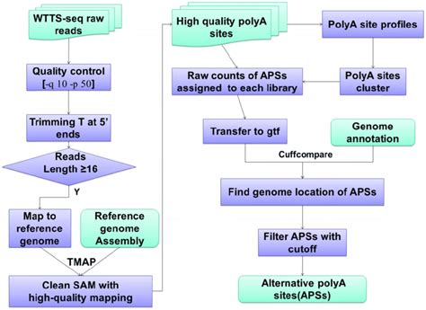 Wtts Seq Raw Data Processing And Bioinformatics Pipeline Data Analysis